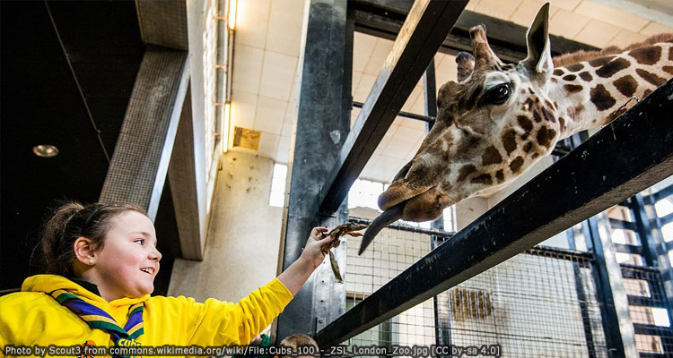 สวนสัตว์ลอนดอน Zsl london zoo | ตะลอนเที่ยวดอทคอม