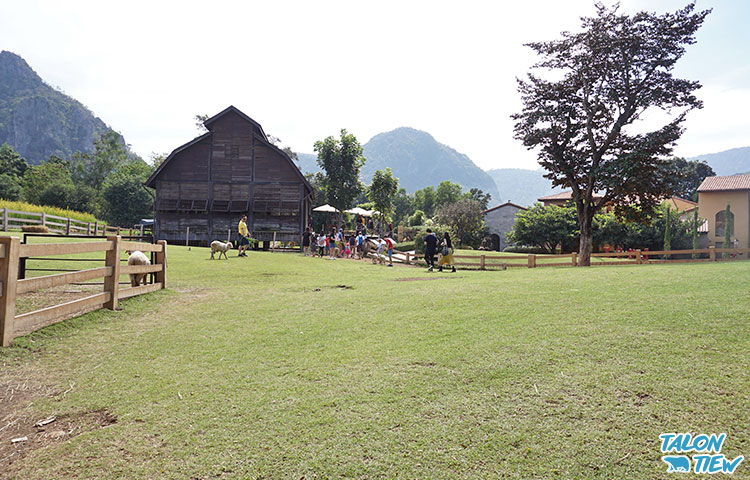 พรีโม เพียซซ่า (Primo Piazza) ความชิค ท่ามกลางหมู่แกะและอัลปาก้า ...