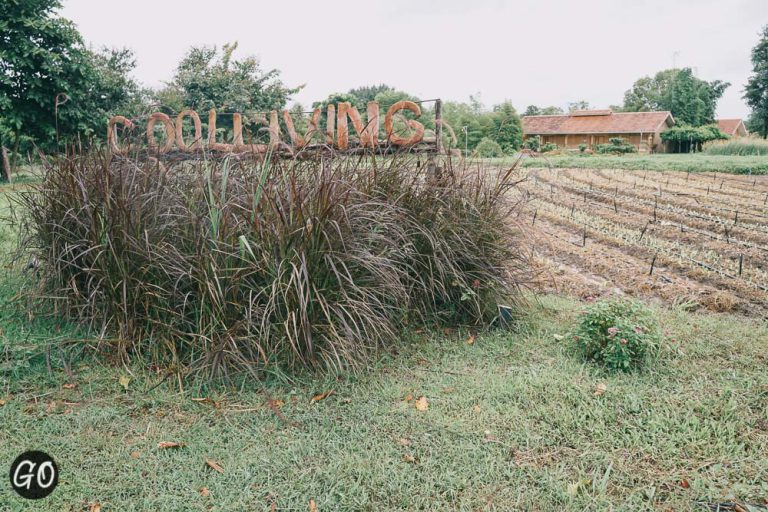 รีวิว Cooliving Farm House วังน้ำเขียว ที่พักฟาร์มสเตย์ แบบออแกนิค ...